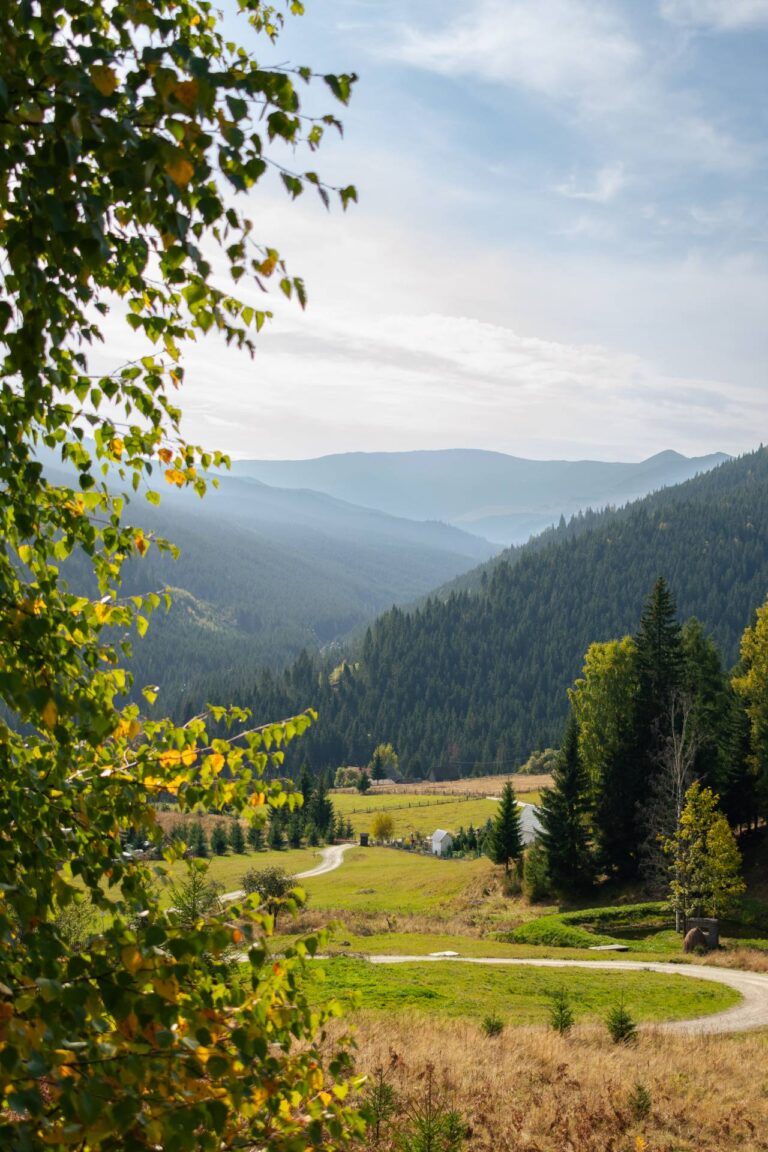 Haita Land - Chalets in the Wild Nature of the Călimani Mountains